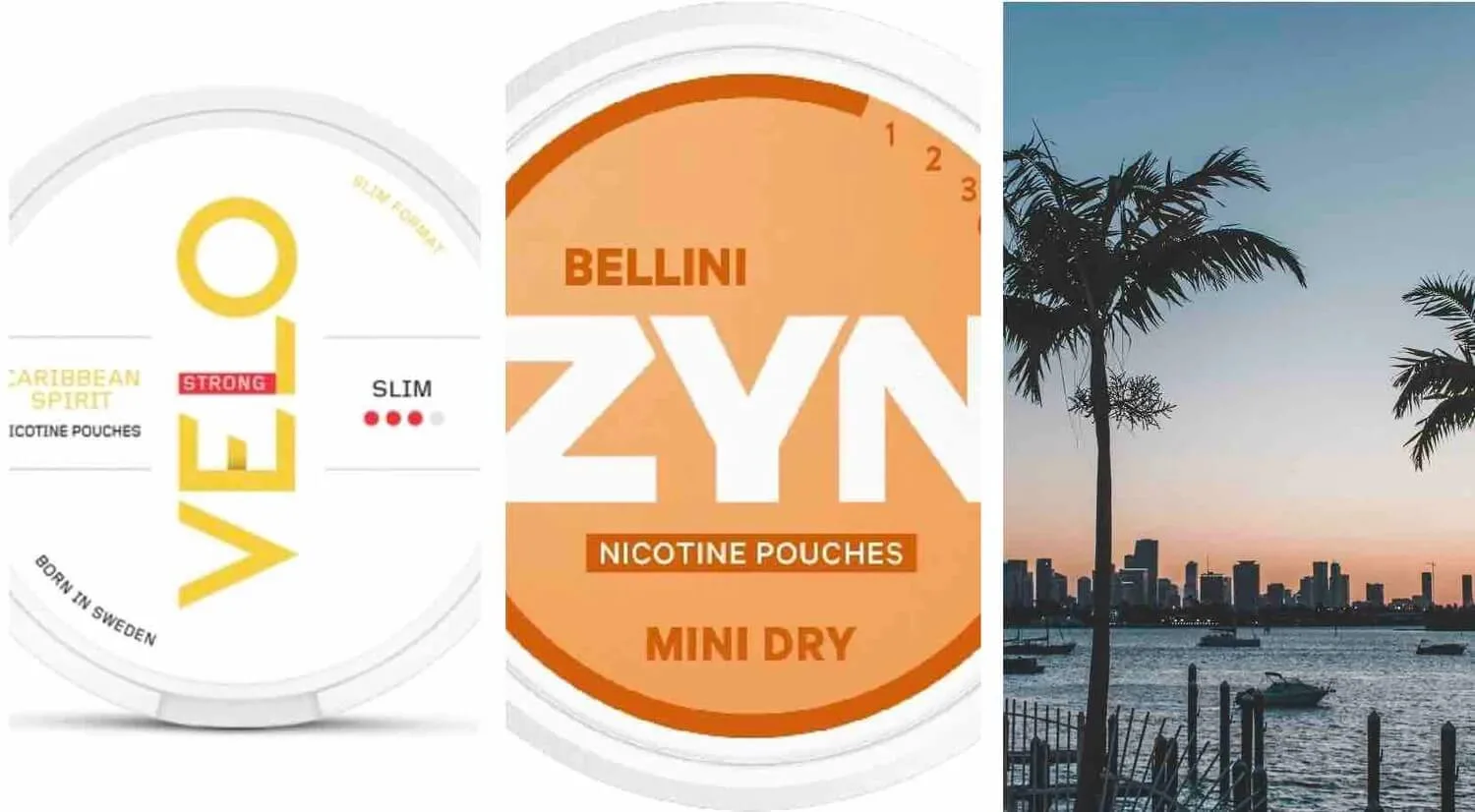 ZYN Florida - Buy snus and nicotine pouches online to Miami