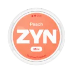 Acquistare online le buste di nicotina ZYN - Tutti i gusti ZYNS - I ...