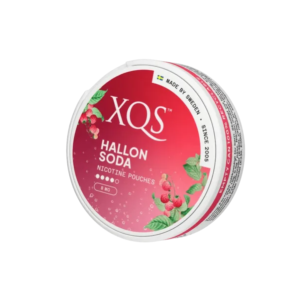 Buy ZYN nicotine pouches online to your country | Snusforsale